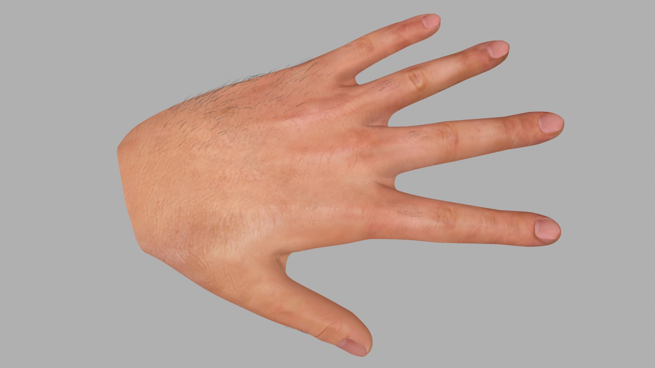 Jut's Blog: Maya - Realistic Hand Final
