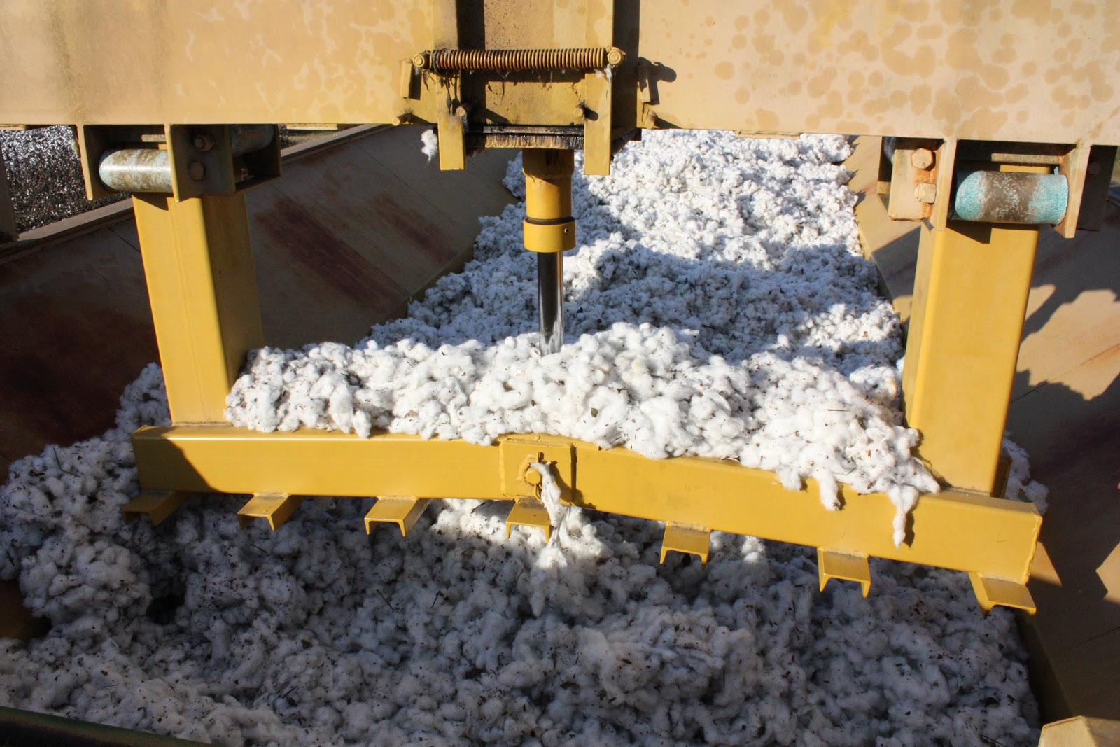 The Funky Clothespin