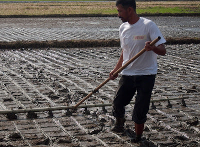 PRRM: Building Sustainable Communities