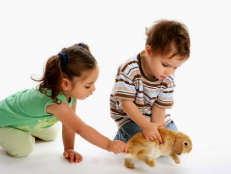 Loving Bunnies: Are Rabbits Good First Pets for Kids?