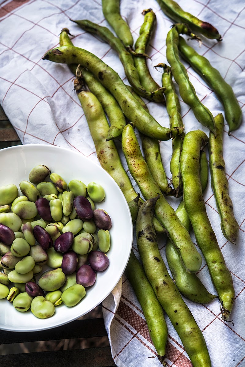 Yogurt & Fava Bean Soup - WILD GREENS & SARDINES