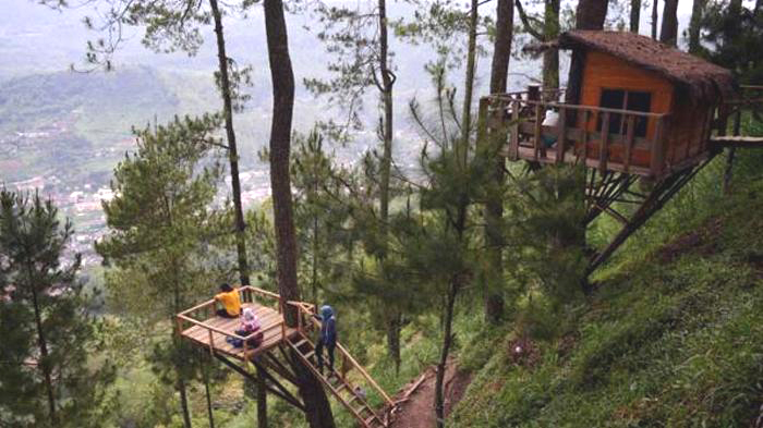 Omah Kayu Malang (Tree House) Best relax place in Batu City | Bromo ...