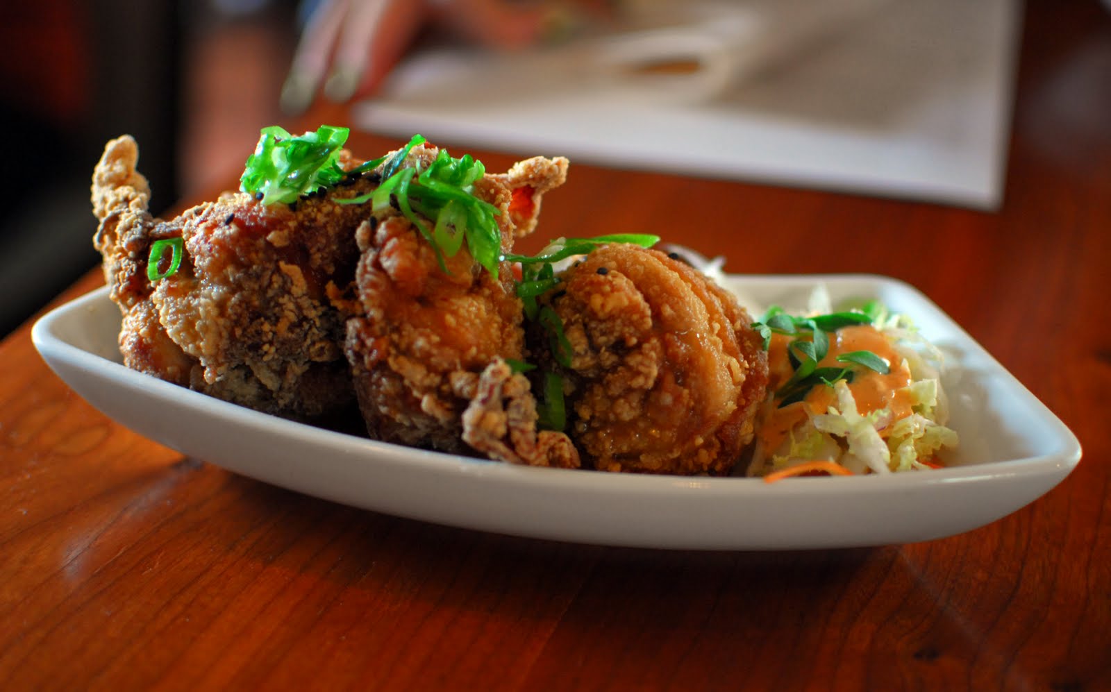 Bunny and Brandy's Brunchtime Blog: Takashi or Noodle Oggling