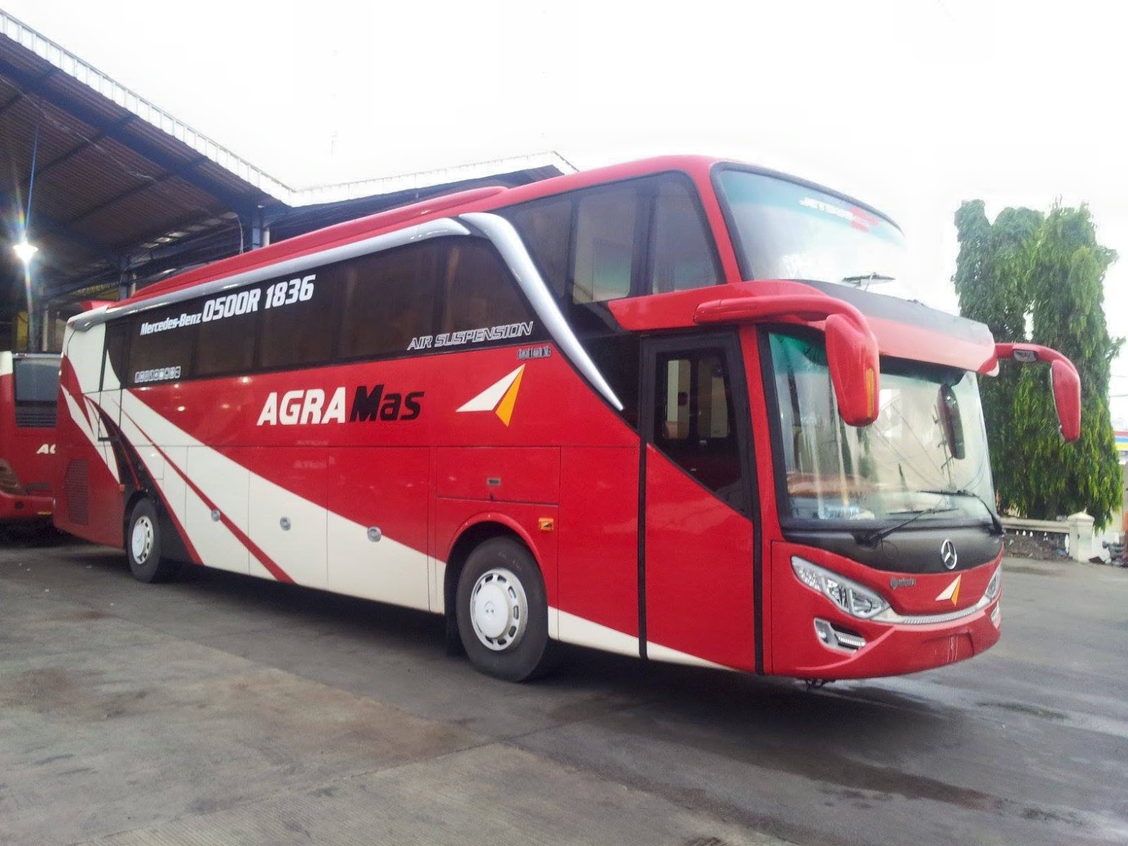 Foto Bus Shd Agra Mas | infotiket.com Foto Bus Shd Agra Mas | infotiket.com