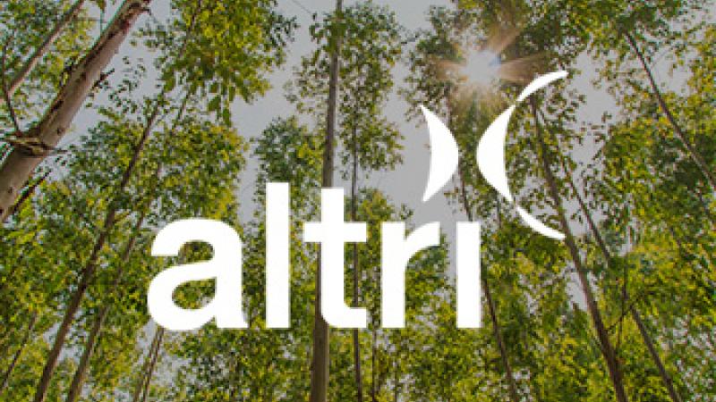 Ratio Rating Ranking: Analyse d'Altri sgps