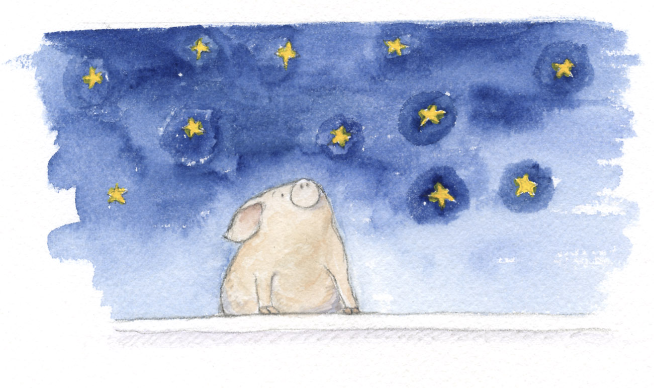 Author-Illustrator Spotlight: Elizabeth Rose Stanton