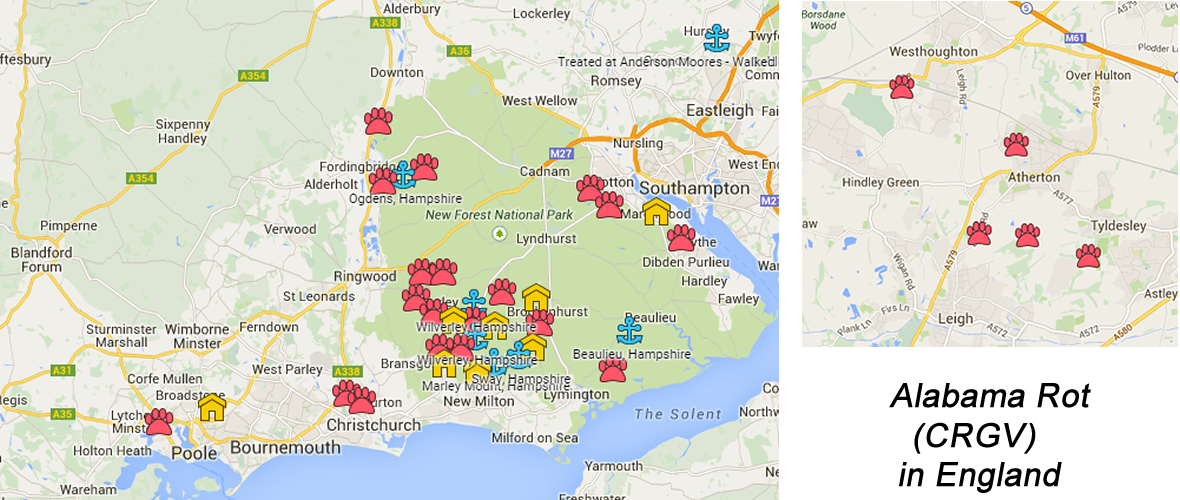 Alabama Rot (CRGV) Research Log by Chris Street: Clusters of Alabama Rot?