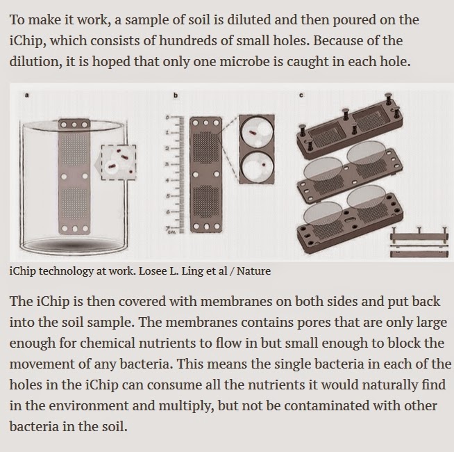 Phage therapy subjects from Sellano town : Teixobactin