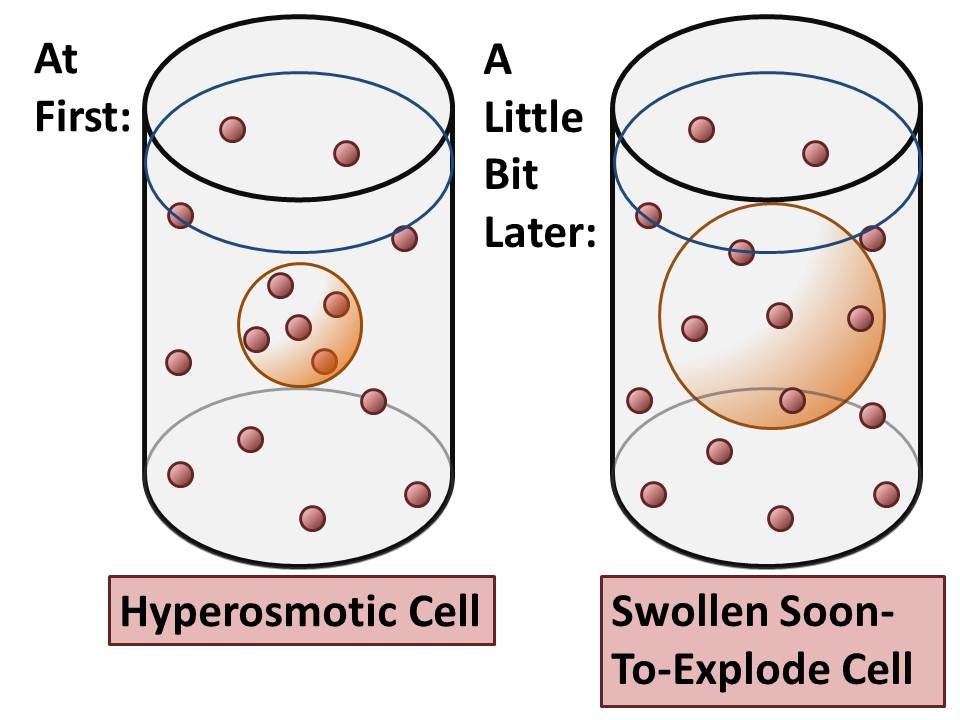 The Scorpion and the Frog: September 2012