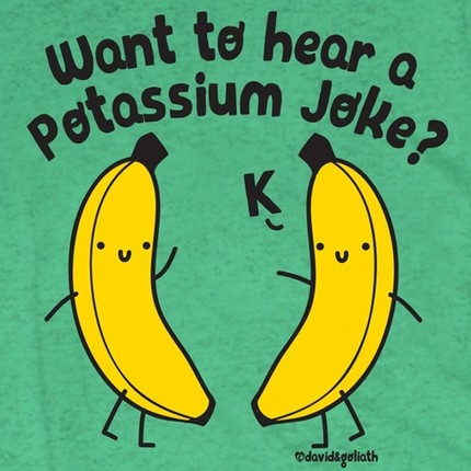 Reviews & Opinions in Emergency Medicine: Potassium metabolism ...