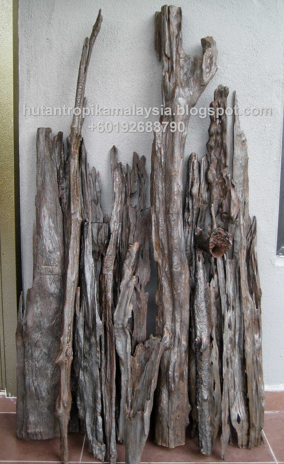 金山香料貿易 : Teras Kemuning Hitam