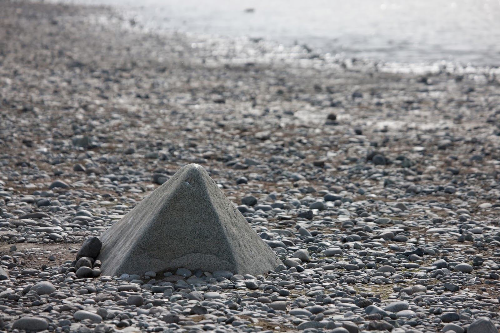 Garden Birds and other sightings...: Antarctica - Turret Point