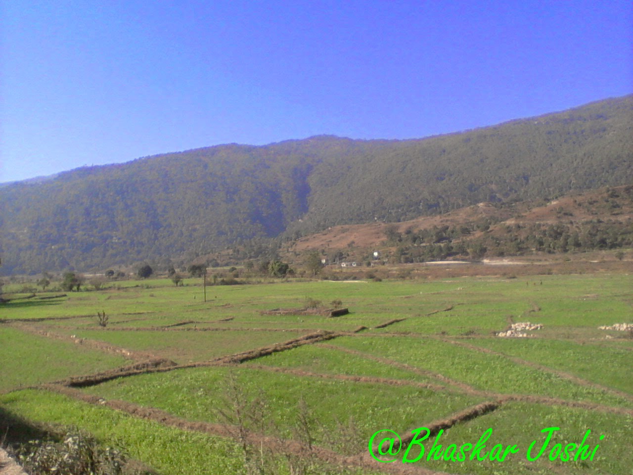 म्यर गेवाड़ घाटी के भलौं लागूं: Chaukhutia-Masi अपनी गेवाड़ घाटी