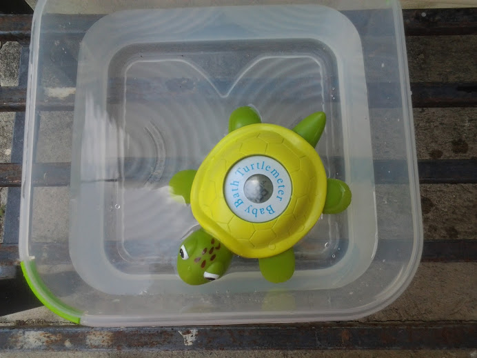 Mis Caprichos by liza: Review:Ozeri Turtle meter