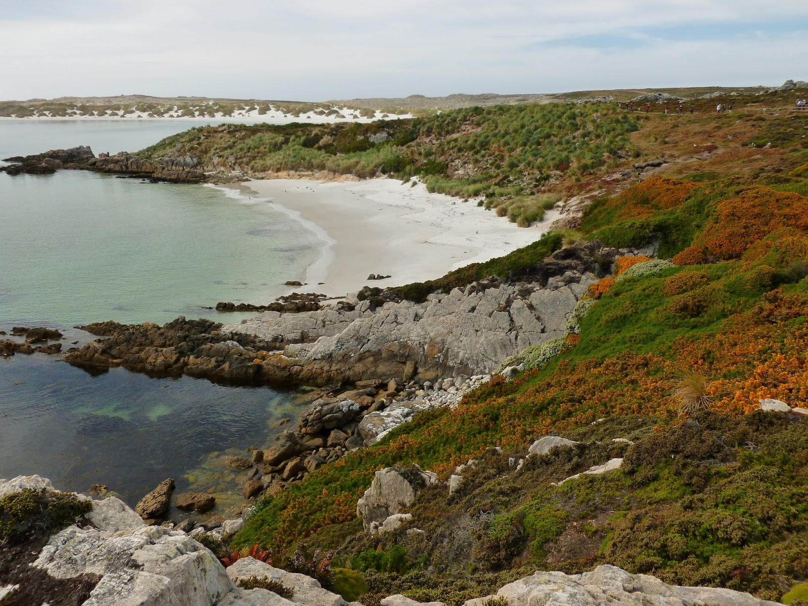 Garden Birds and other sightings...: Port Stanley and Gypsy Cove ...