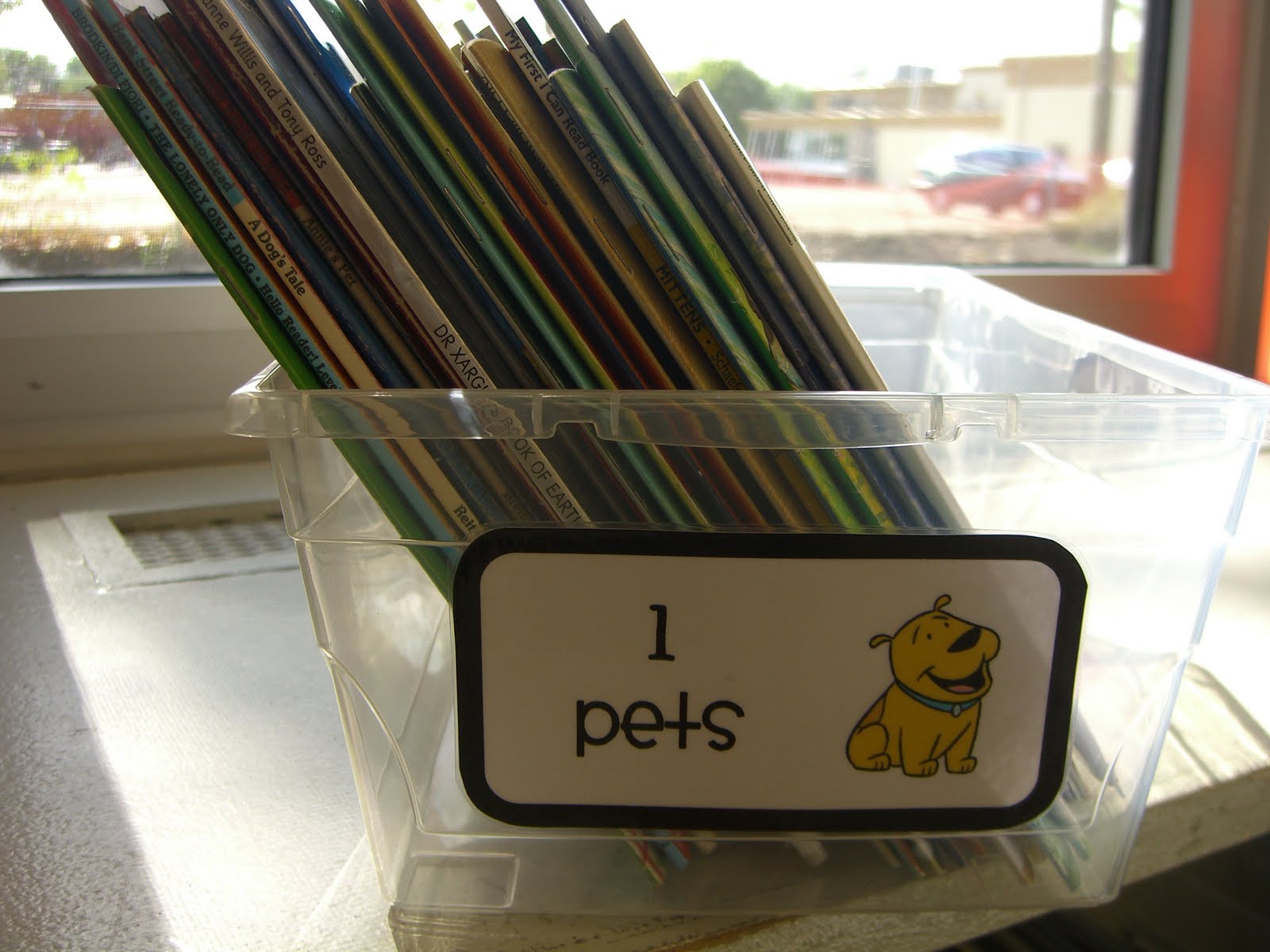 First Grade Garden: Classroom Organization