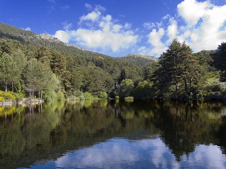 ANIMAL PLANET: REFUGIO NACIONAL DE FAUNA SILVESTRE