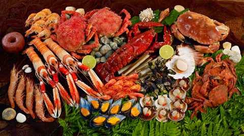 mariscos ~ EL SAUCE seafood