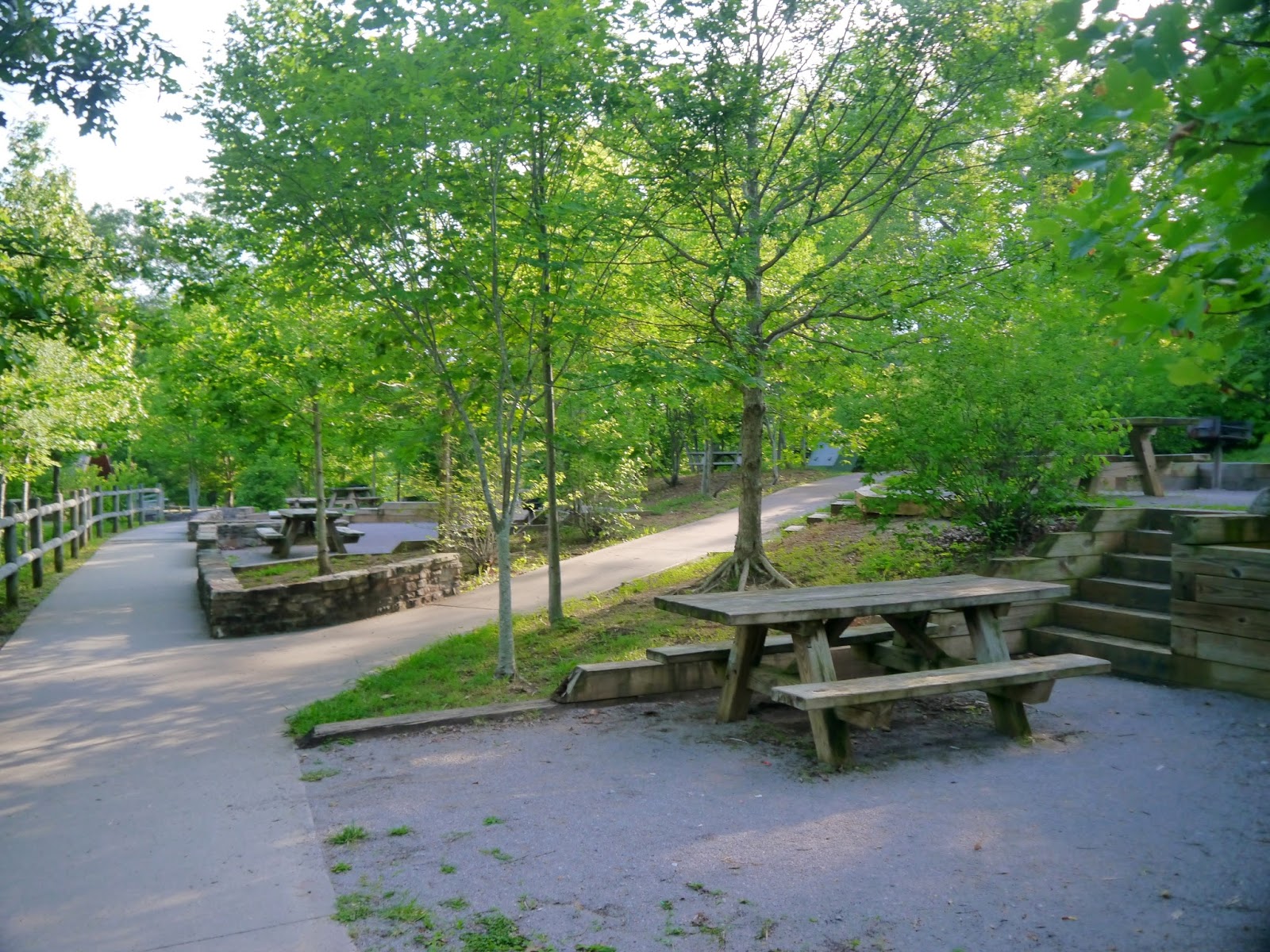 American Travel Journal: Benton Falls - Cherokee National Forest