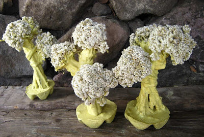 Cara Penanaman dan Perawatan Bunga Edelweiss Jawa dengan Baik | BELAJAR ...