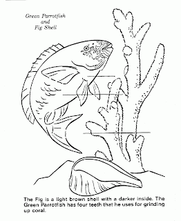 desene natura plante imagini de colorat ~ Desene Imagini de colorat