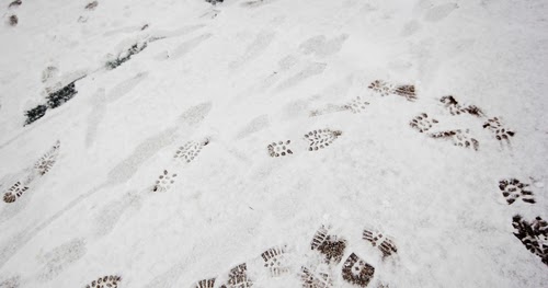 Winter Physical Activities / Eat Smart, Be Fit Maryland!