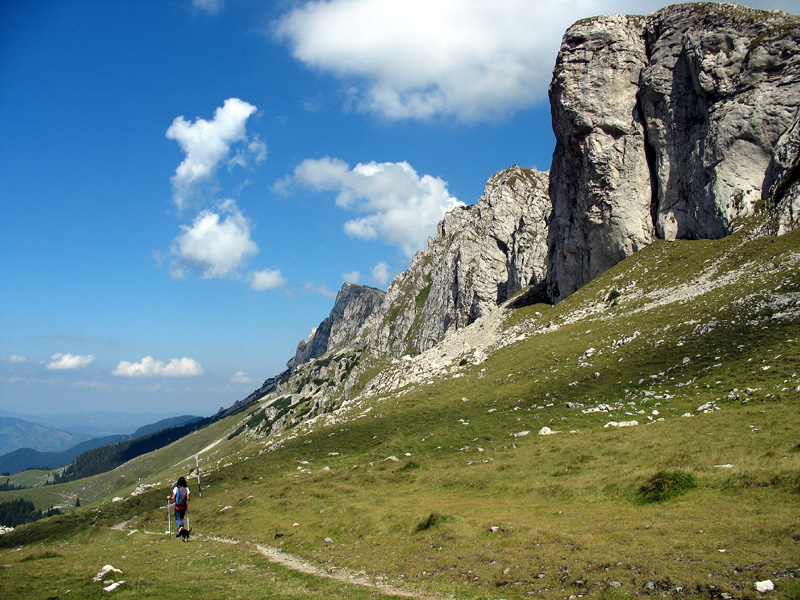 Pe drumul cel bun: Saua Strunga
