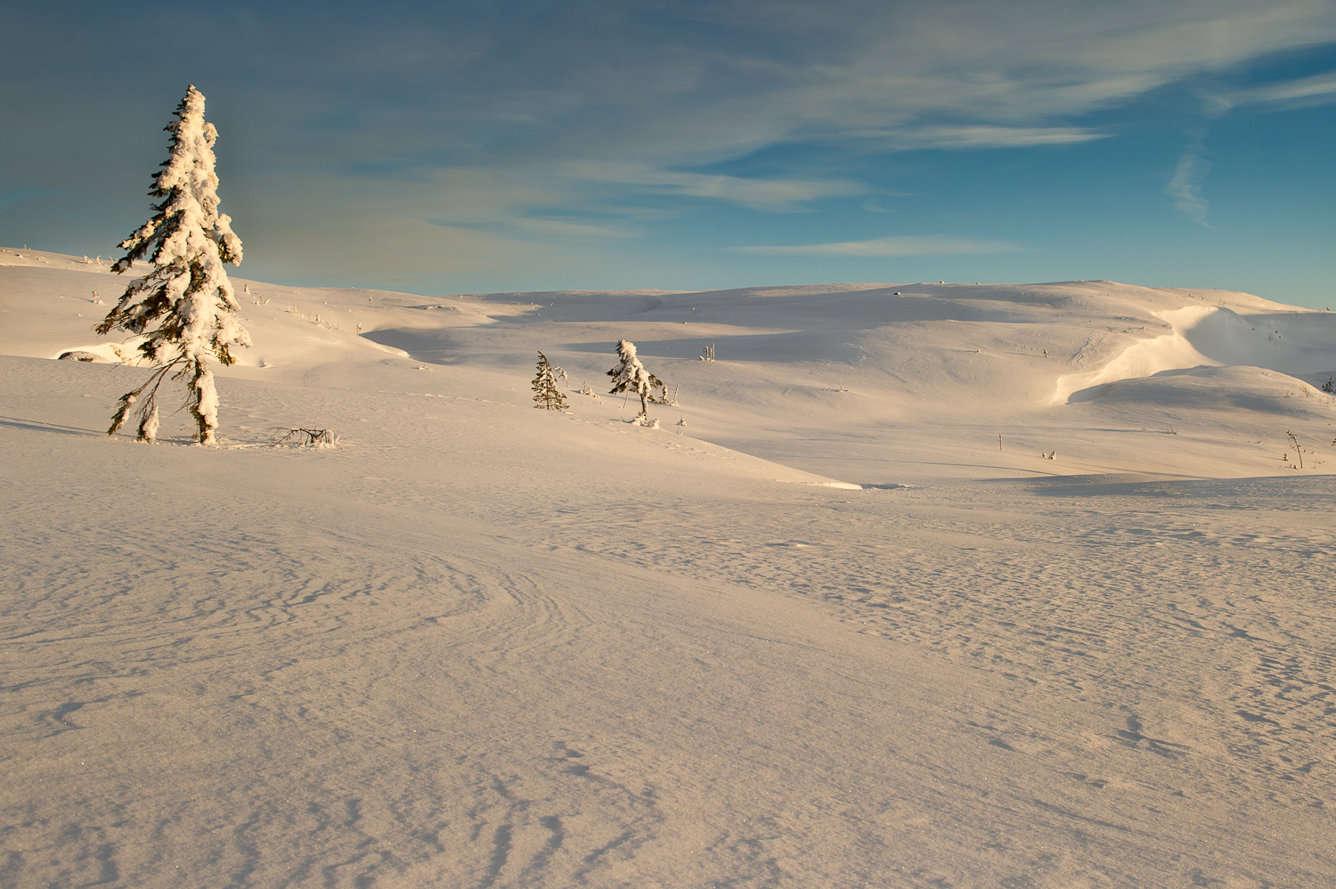 Bjørn Oddvar Landsem