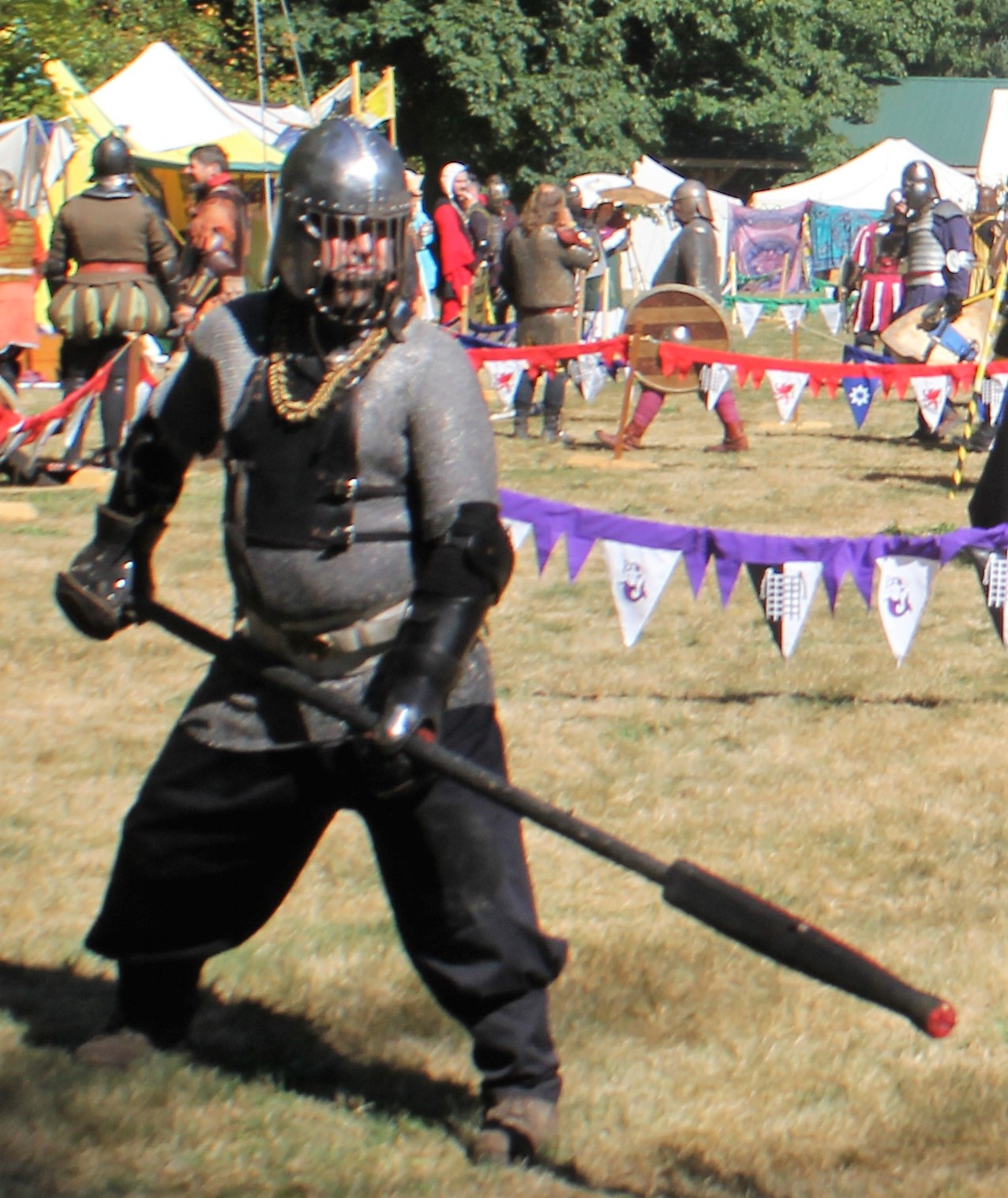 Greate Book of Fighters: 73_Kingdom of An-Tir_Barony of Lions Gate_Sir ...