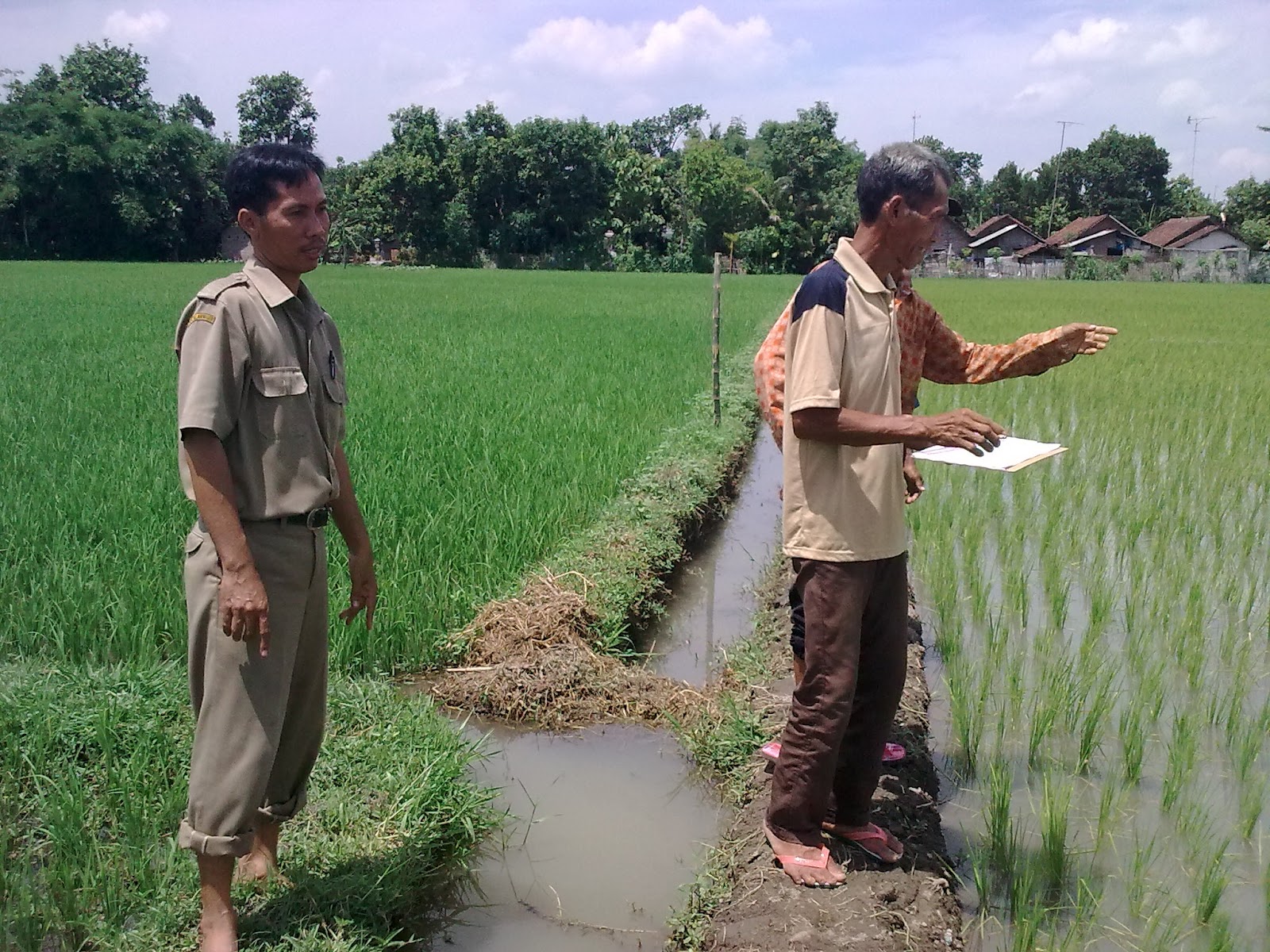 BALAI PENYULUHAN PERTANIAN PURWOASRI: METODE PENYULUHAN