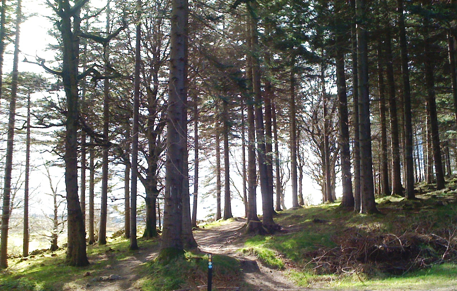 Louise Phillips Writer: The Hellfire Club