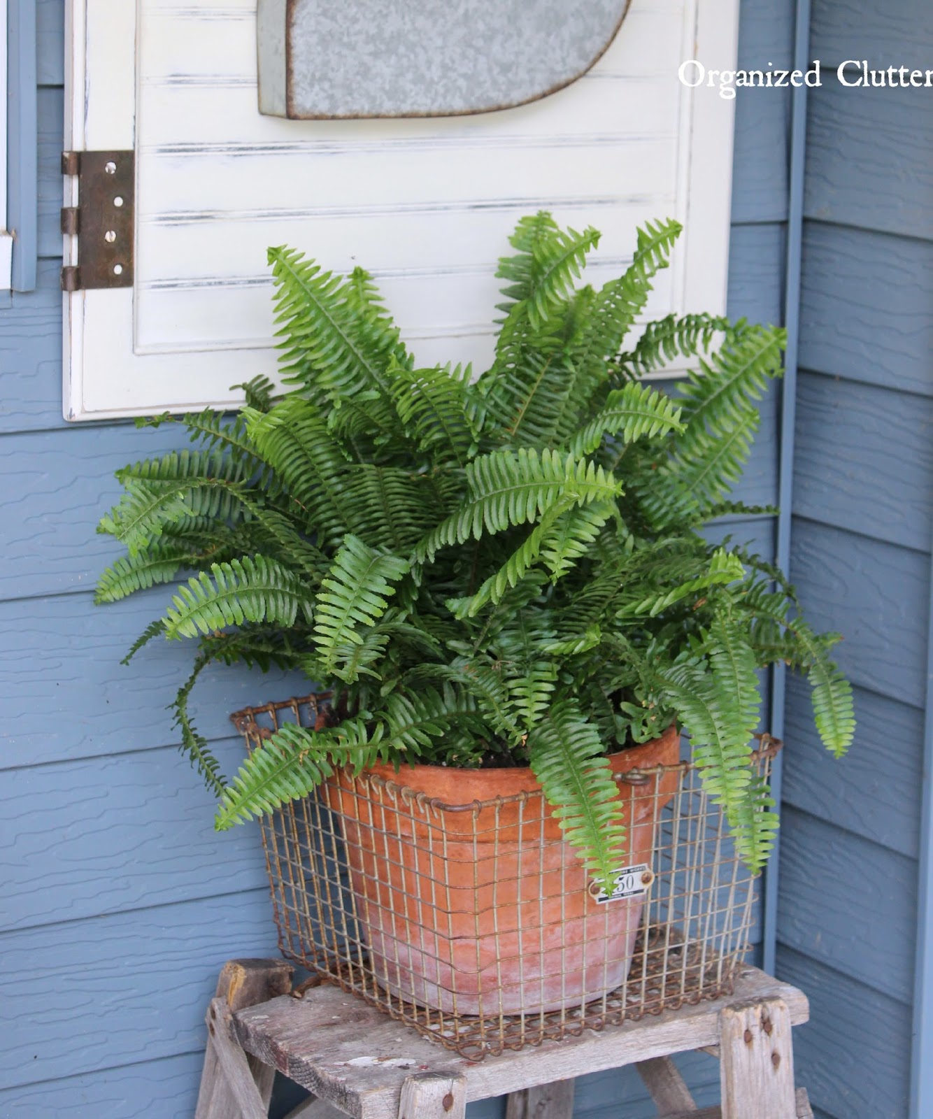 Beautiful Flowers in Junky Containers - Organized Clutter