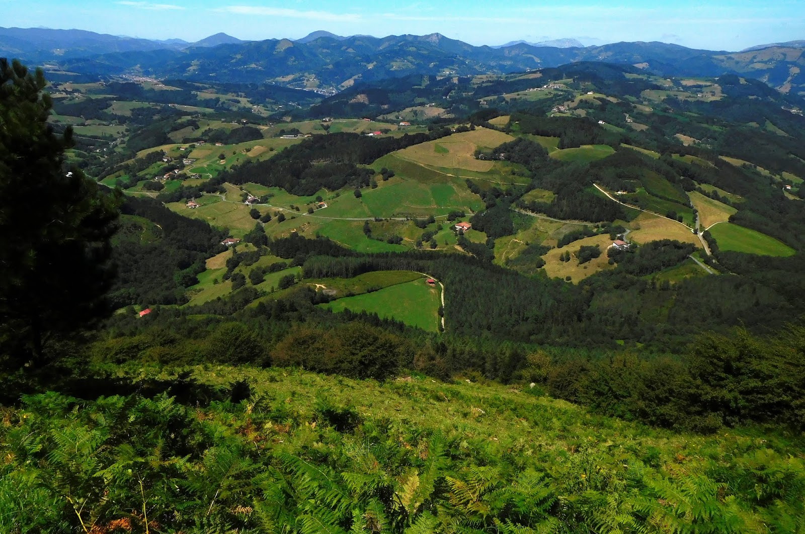 TXINDOKI / LARRUNARRI desde LARRAITZ 84