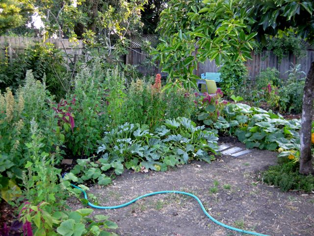 Backyard Farming: Your Backyard Farm