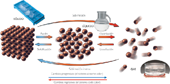 abril 2011 | Vive la Ciencia