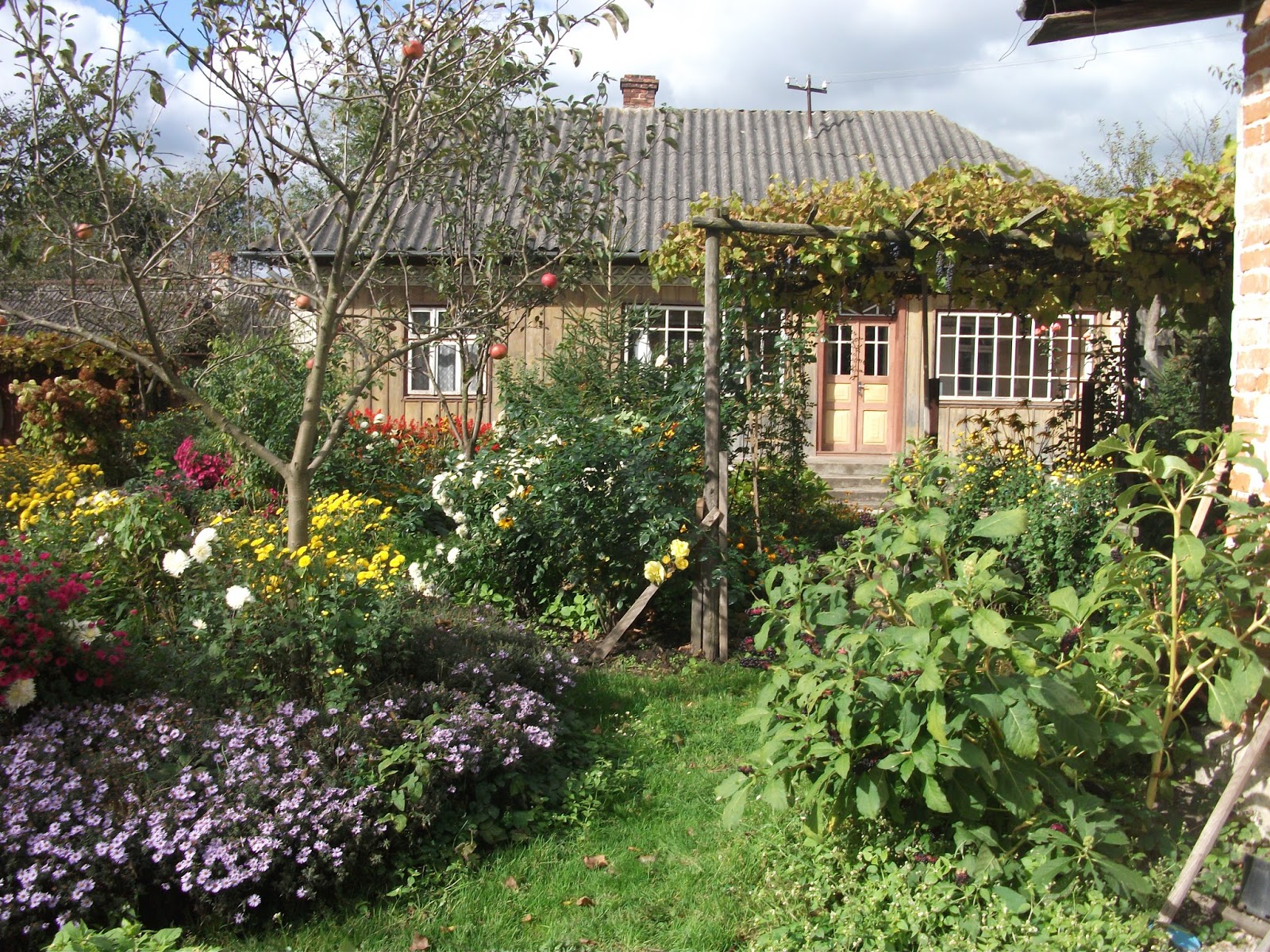 MY Pichka: Introduction