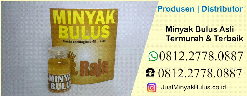 Termurah 0812.2778.0887, Distributor Minyak Bulus Putih, Distributor ...