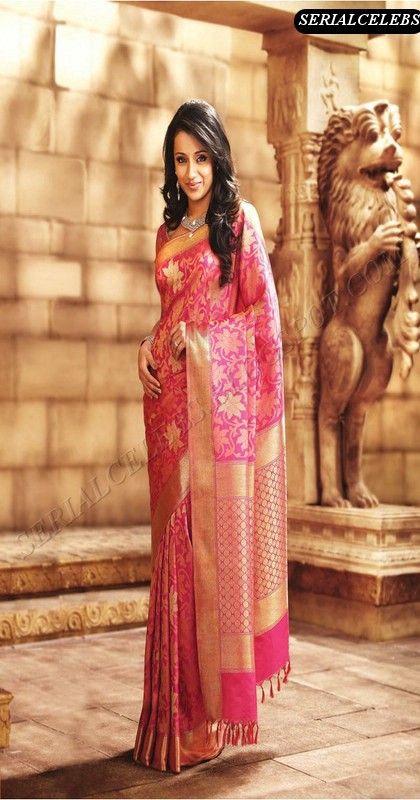 SERIAL CELEBS - !The Only Blog For Serial Artists!: Trisha in silk ...