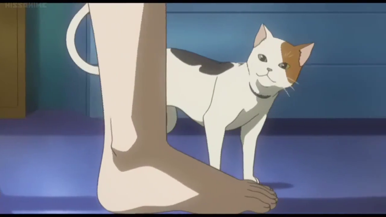 Anime Feet: IGPX (Immortal Grand Prix): Amy Stapleton (Part 1)