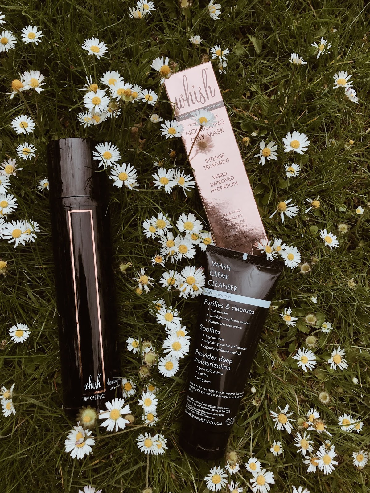 Whish Body Natural Skincare Review + How to Properly Apply a Mud Mask ...