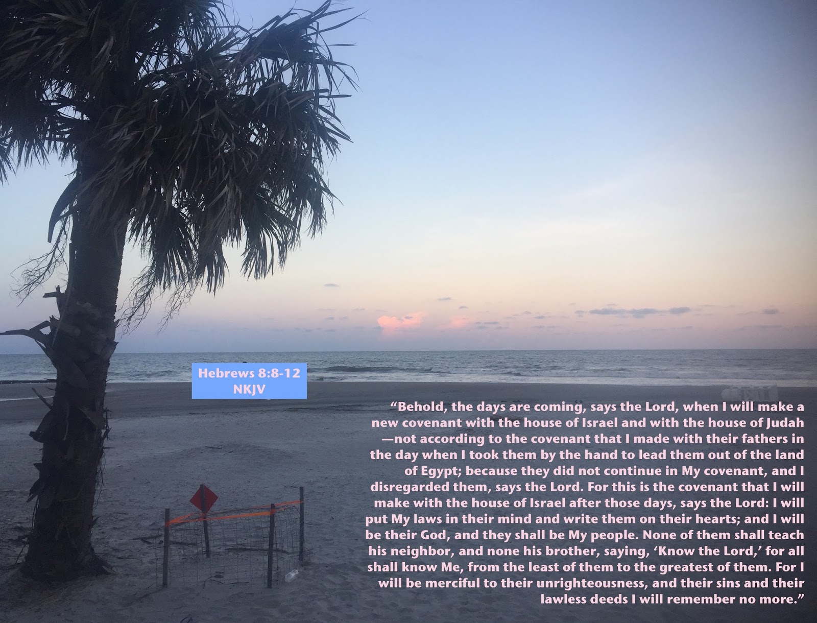 My Strength: Hebrews 8:7-12 - "King of the World"