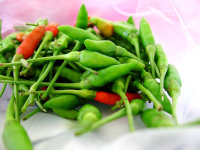 Blossom Mommy: Kecil Kecil Cili Api ..... Apa Khasiatnya?