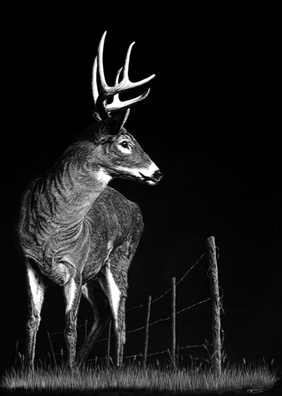 Design Stack: A Blog about Art, Design and Architecture: Scratchboard ...