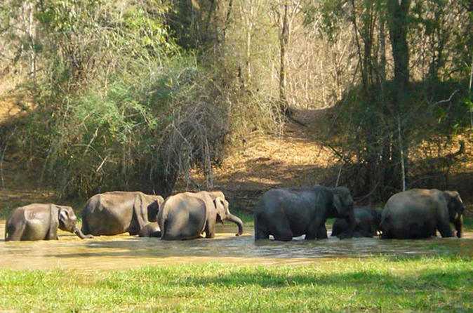 Muthanga Wildlife Sanctuary Resorts