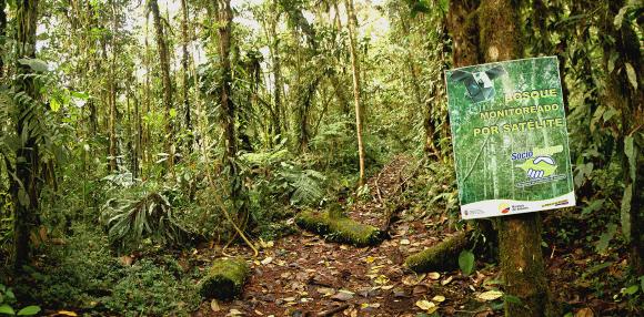 REFUGIO DE VIDA SILVESTRE MARINO Y COSTERO PACOCHE