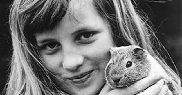 Cavy Savvy: A Guinea Pig Blog: Celebrities with Guinea Pigs