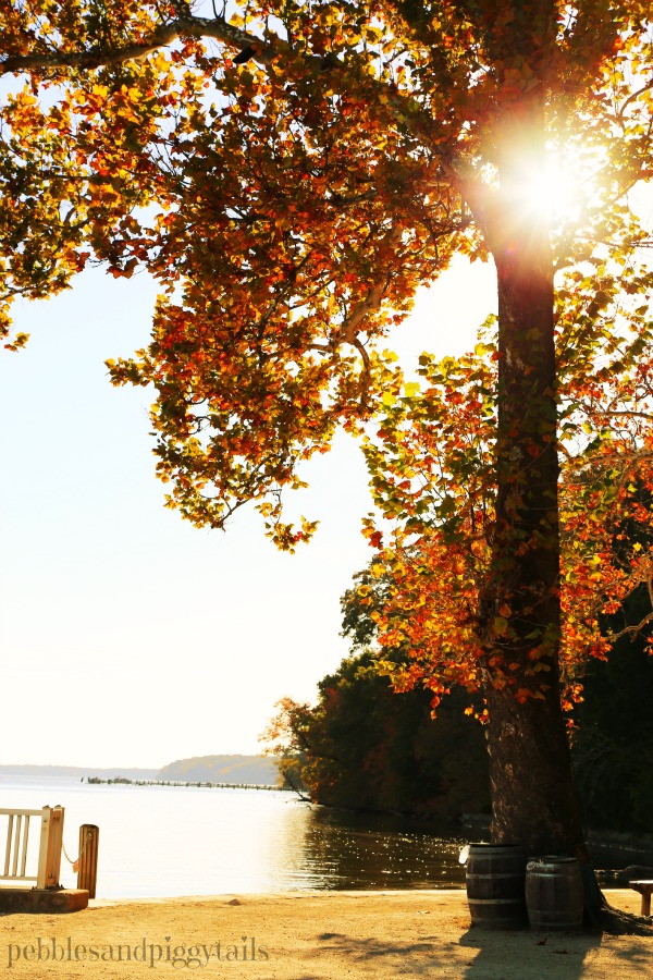 Lisa Jorgensen Photography | Making Life Blissful