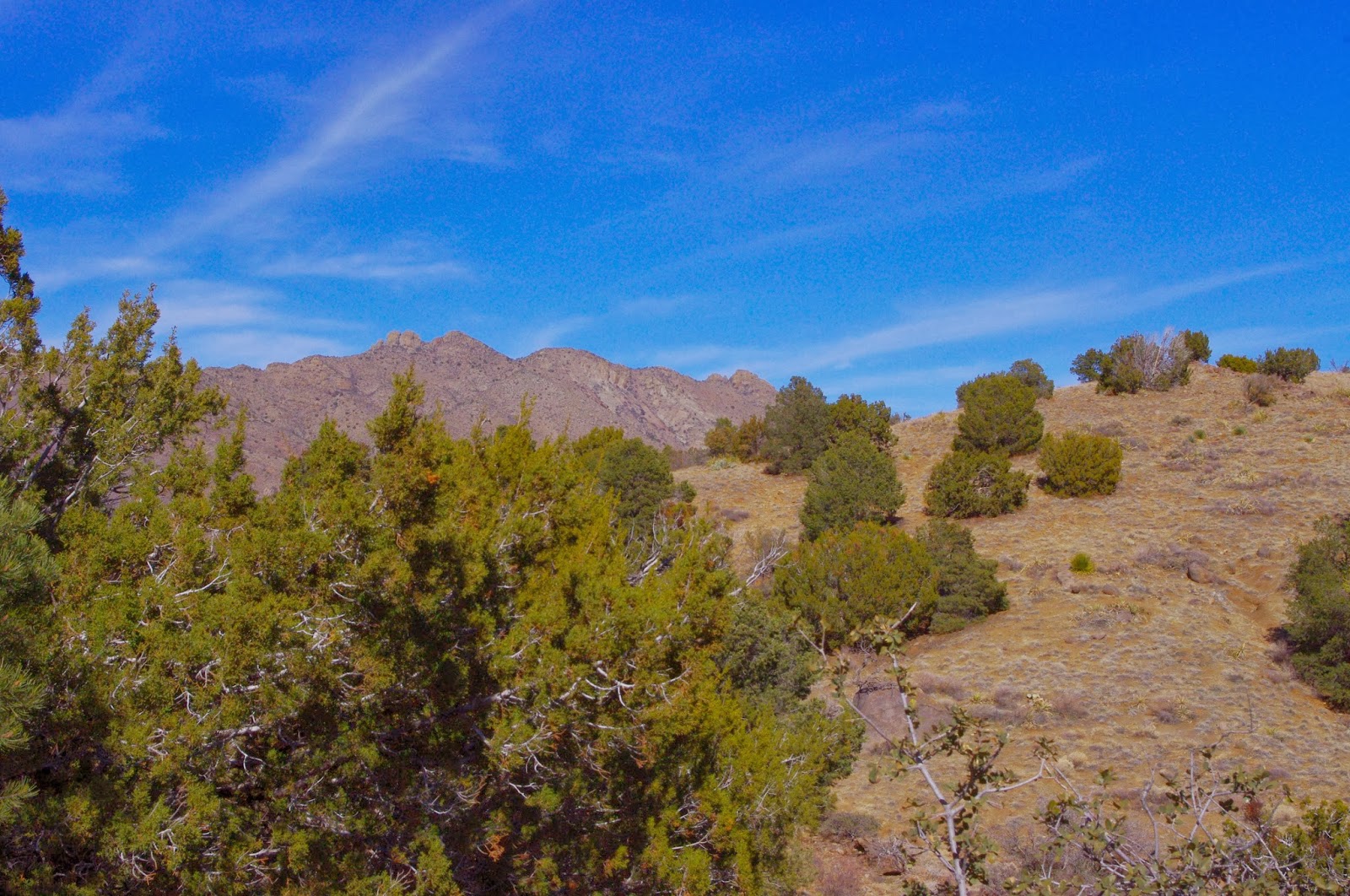 Southern New Mexico Explorer: Florida Mountains- Florida Mountains WSA