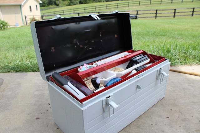 Amber Horn: Bible Journaling Toolbox