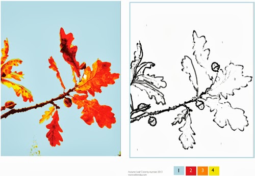 Leaf Coloring Pages | Munchkins and Mayhem